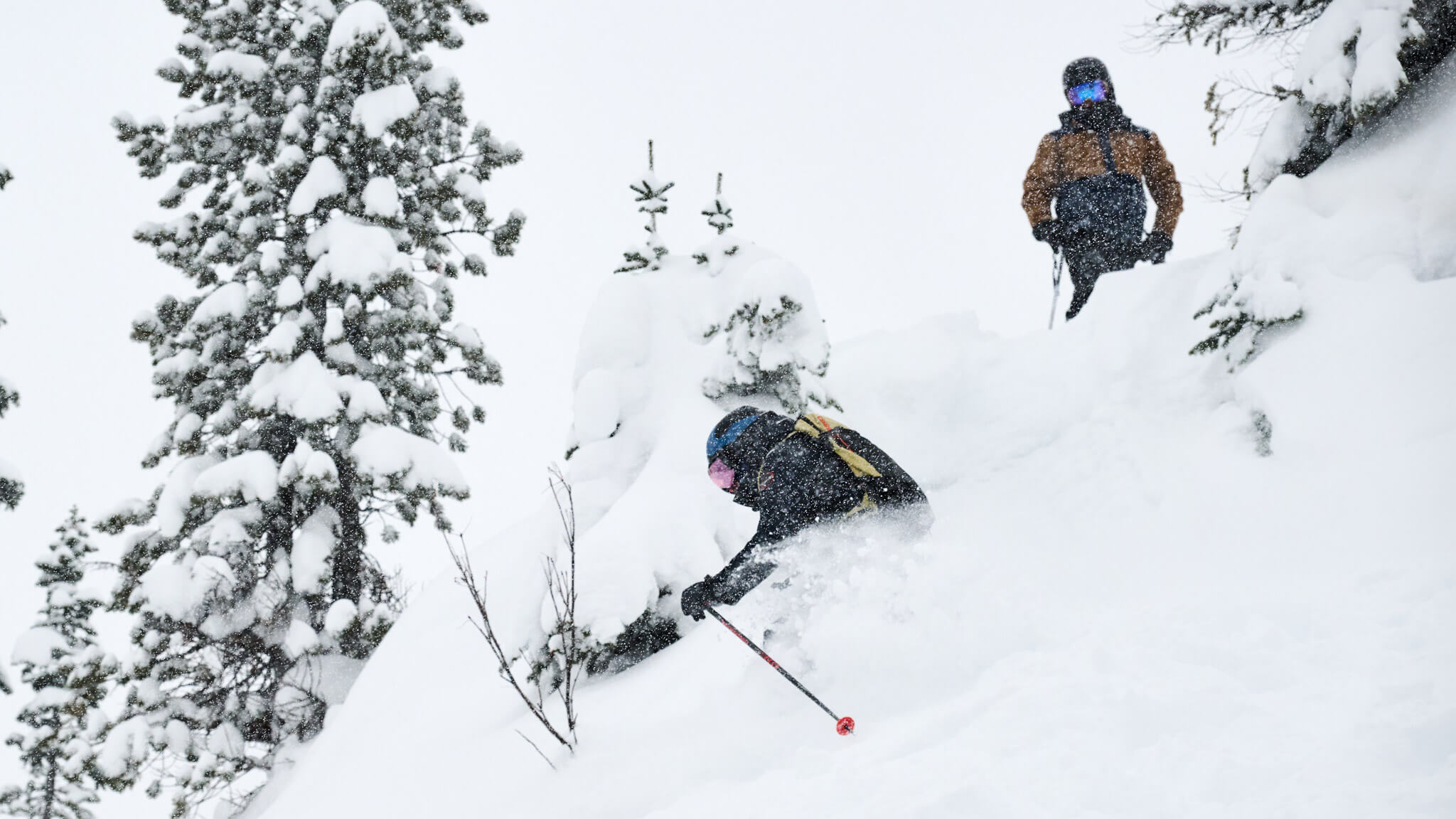 A Day in the Life: Cat-Skiing with Fernie Wilderness Adventures ...